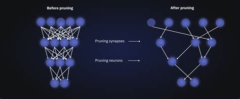 Shrinking Deep Learning Giants Quantization Pruning And Knowledge