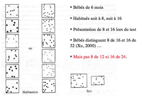 Intro To Cognitive Science Flashcards Quizlet