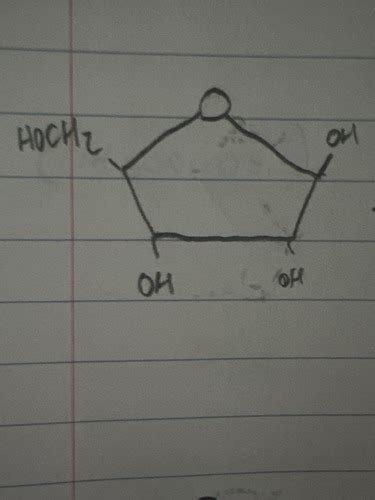 Exam 2 Chem 163 Flashcards Quizlet