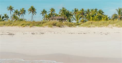 Flotilla Bahamas Abaco Islands 25 April And 1 May By Catamaran