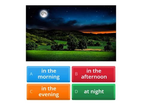 Morning Afternoon Evening Night Quiz