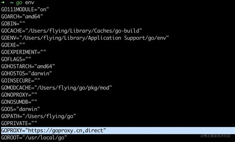 为何配置了goproxy却莫名其妙无效？今天遇到了一个很奇怪的问题，我已经通过 配置了代理，但是在docker Buil 掘金