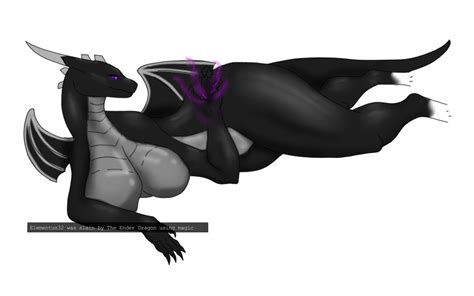 Rule 34 Anthro Big Breasts Dragon Ender Dragon Female Fur Furry