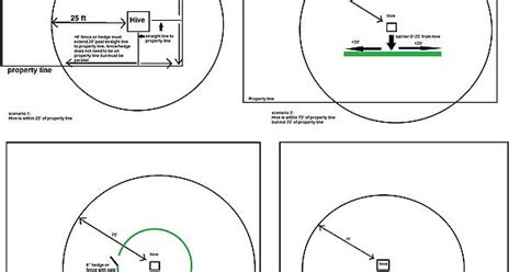 Possible Interpretation Of Tacoma Bee Hive Municipal Code Album On Imgur