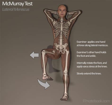 Pin By Brittany Carroll On Orthopedic Tests In 2023 Medical Massage