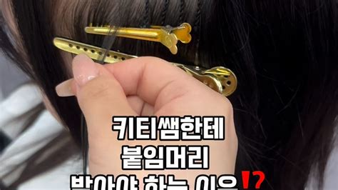 붙임머리 키티쌤에게 받아야하는 이유 네이버 Tv