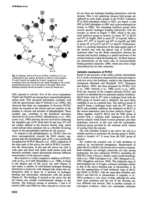 Crystal Structure Of The Phosphatidylinositol Specific Phospholipase C From Bacillus Cereus In
