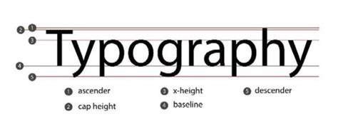 Definition Of Typeface Properties And Determination Of The