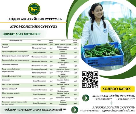 Өнөөдрийн будах зураг Будсан зургийг харж адилхан будаж сурах энэхүү