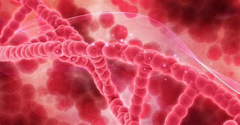 Anemija Kako Nastaje I Koji Su Simptomi Premium Genetics