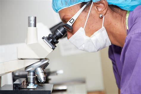 Understanding Embryo Grading Genesis Fertility New York
