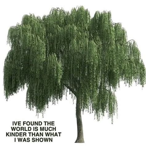 Pin By Madison On Higher Self Tree Photoshop Landscape Elements Landscape