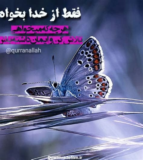 عکس نام های خدا