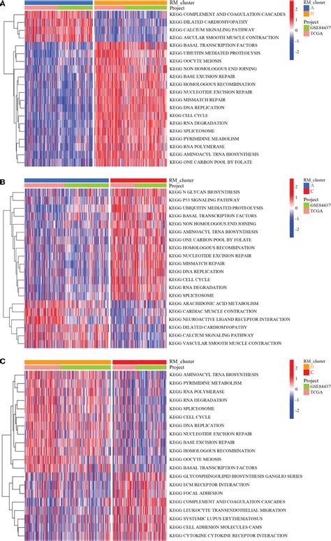 Biological Characteristics Analysis Of Three Rna Modification Clusters