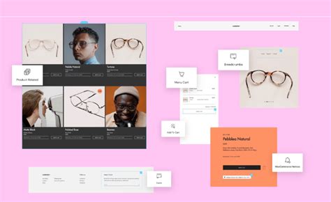 Elementor Review Focusengglab