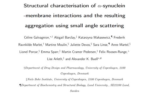 Preprint Structural Characterisation Of α Synuclein Membrane Interactions And The Resulting