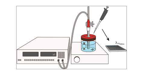 Lab Diffusion Through A Membrane