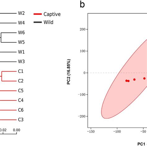A Hierarchical Cluster Tree And B Principal Component Analysis