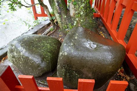 Gastronomy Linux Apache Mariadb Python ブログ