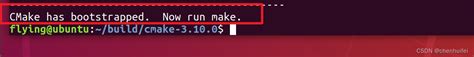 Ubuntu C Flying