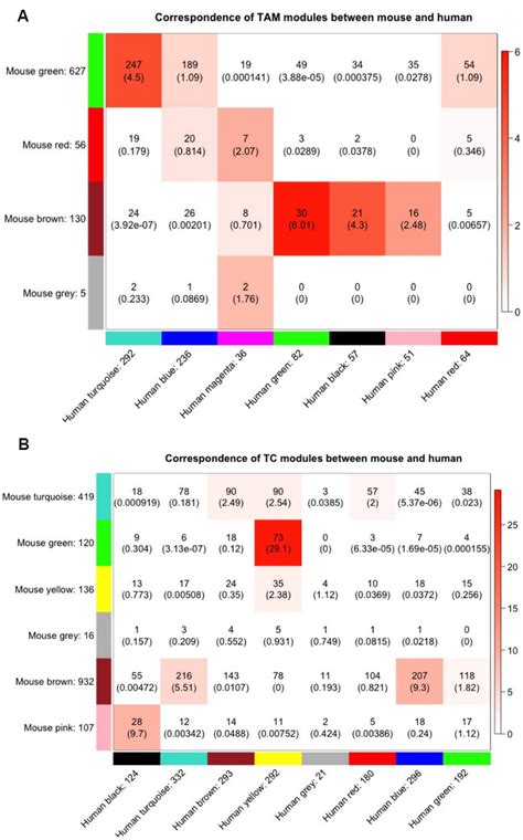 Correspondence Between Mouse And Human Modules A Correspondence Of