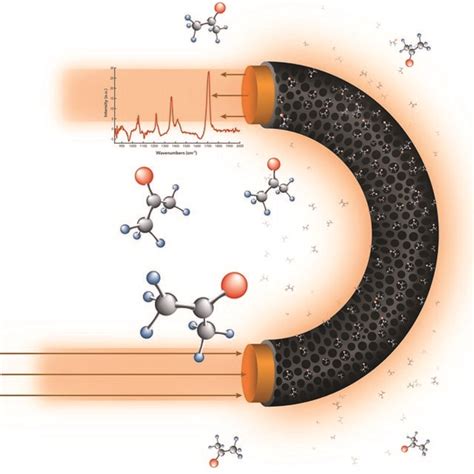 Schematic Principle Of An Optical Fiber Sensor Coated With A Porous Download Scientific Diagram