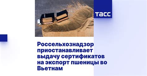 Россельхознадзор приостанавливает выдачу сертификатов на экспорт пшеницы во Вьетнам ТАСС