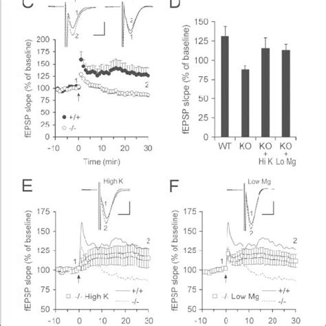 Excitatory Post Synaptic Potential Field Recordings Fepsp And Download Scientific Diagram