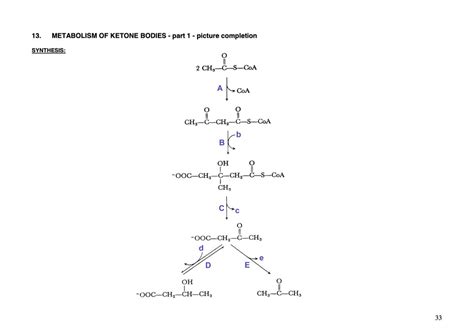 Ketone Body Synthesis Diagram Quizlet