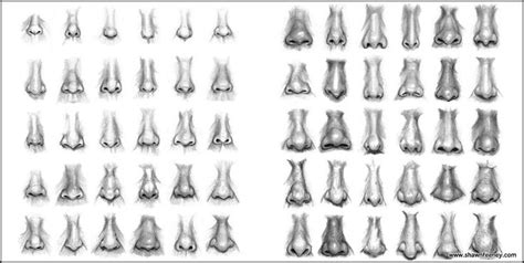 Pin By Amy Scheve On Tutorials — Drawing And Illustration Nose Drawing