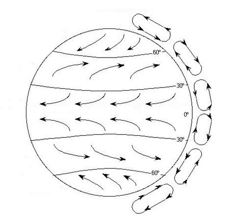 Global Winds Diagram Quizlet