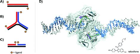 Architectures Of Multivalent Nucleic Acid Probes Presenting Small