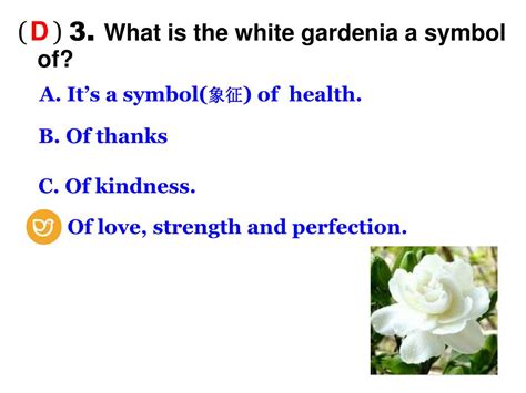 Ppt The Attributive Clause Powerpoint Presentation Free Download Id 2969798