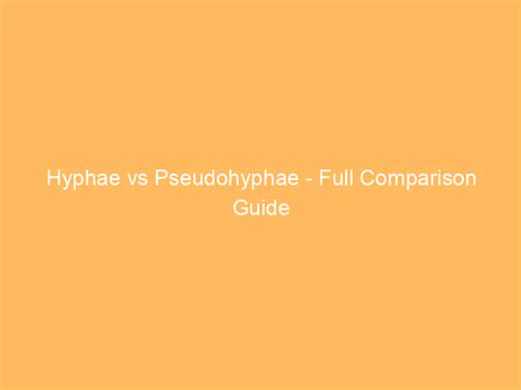 Hyphae Vs Pseudohyphae Full Comparison Guide City Libraries