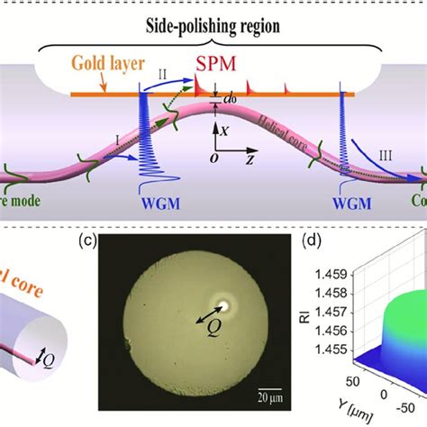 HCF SPR Sensor A Working Principle Of HCF SPR Sensing B Schematic Download Scientific