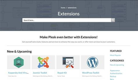 Directadmin Vs Plesk What Are The Differences Hostio Solutions