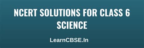NCERT Solutions For Class 6 Science Curiosity Updated For 2024 25 Exams