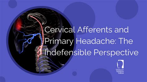 Cervical Afferents And Primary Headache The Indefensible Perspective