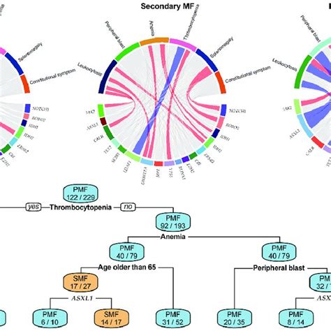 Mutational Spectrum In Overt Primary Myelofibrosis Pmf Secondary
