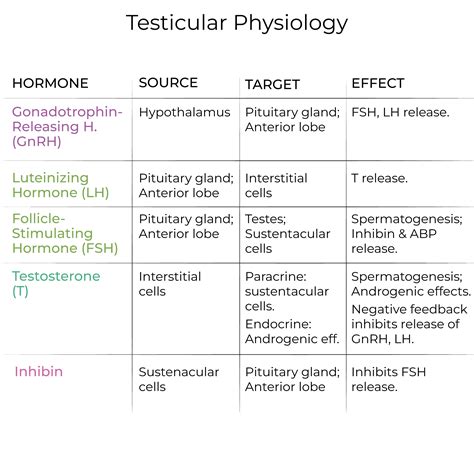 Physiology Glossary Testicular Physiology Ditki Medical And Biological Sciences
