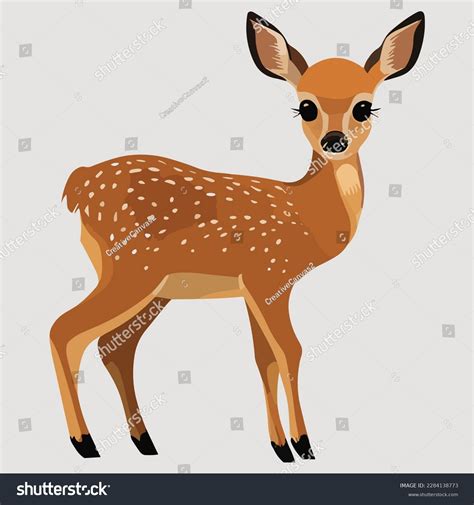 Cartoon Deer Isolated Pro Vector Illustration Stock Vector Royalty