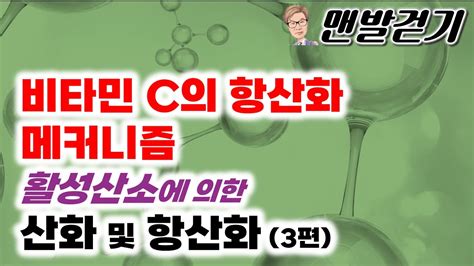 활성산소와 비타민c의 산화 환원 지질 과산화와 비타민 C의 항산화 메커니즘 그리고 맨발걷기 시리즈3 Youtube