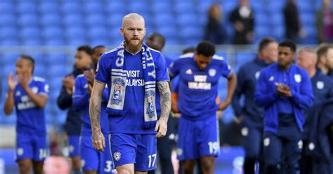 카디프 시티 Epl 승격 1년 만에 강등