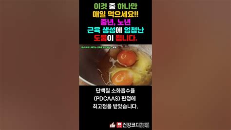 중년 노년에 빠지는 근육 이것 중 하나만 매일 먹으세요 근육생성에 굉장한 도움이 됩니다 Youtube