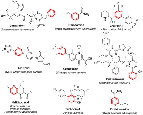Fda Approved Drugs Containing Pyridine Scaffold To Treat Bacterial And