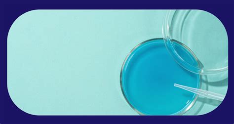 Tumor Informed Molecular Residual Disease Mrd Analysis From The