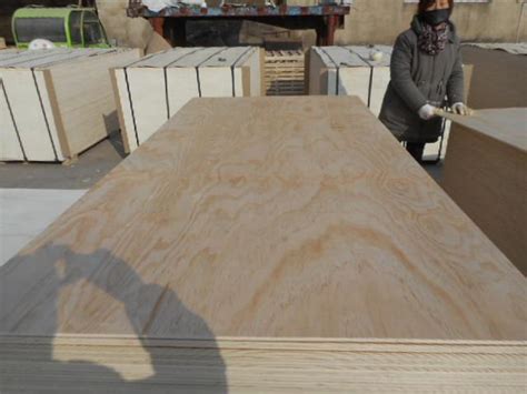 ΚΟΝΤΡΑ ΠΛΑΚΕ Σημύδα Κοντρα πλακε Σημύδα