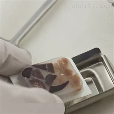 细胞石蜡包埋石蜡白片 上海达为科生物科技有限公司