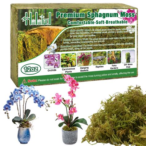 Halatool 12oz Premium Sphagnum Moss For Plants 12qt Green Moss For