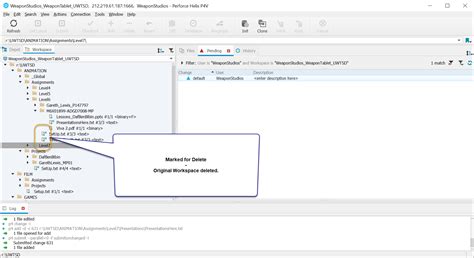 Perforce 2019 Files Marked For Delete But Associated Workspace
